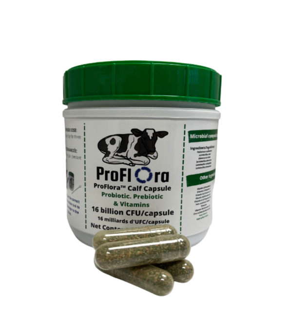 ProFlora CALF Capsule – Diamond City Farm Supply