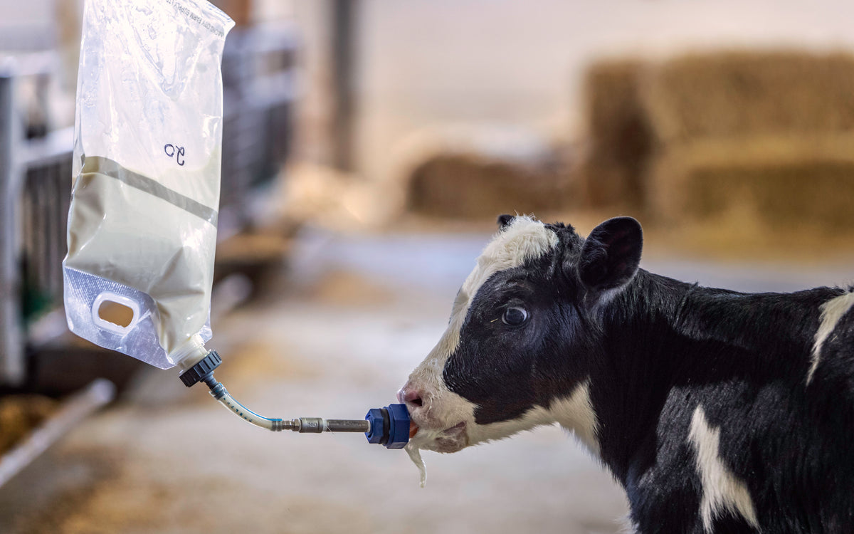 Colostrum Milk Bags for Calf Feeding – Diamond City Farm Supply